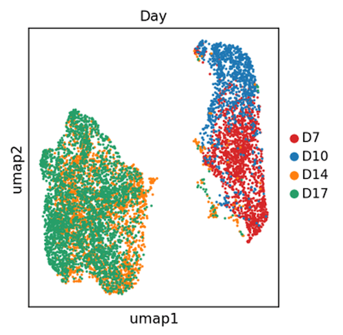 ioSensory Neurons | ioCells | bit.bio